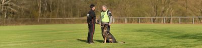 Hundesport Produkte kaufen | Schweikert Dog Equipment